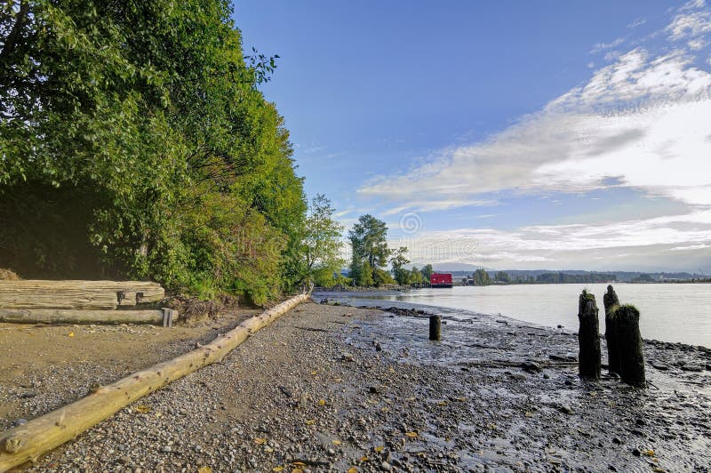 Long Log at the River Beach Stock Image - Image of stone, pier: 70002811