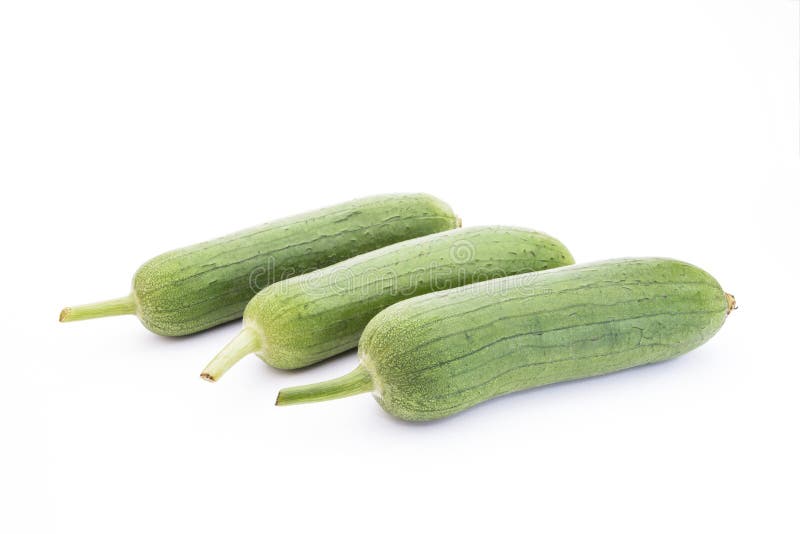 505 Long Loofah Stock Photos - Free & Royalty-Free Stock Photos from ...