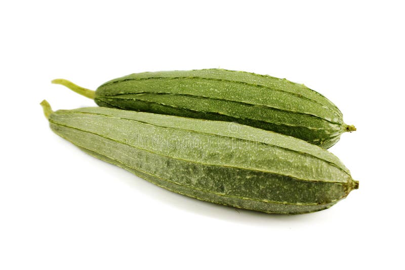 Long loofah stock photo. Image of plant, taste, cuisine - 43205200