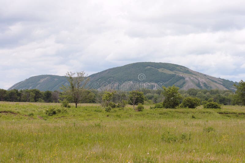 Long Mountain Trail with Bushes and Trees Around in Giant Mountains ...