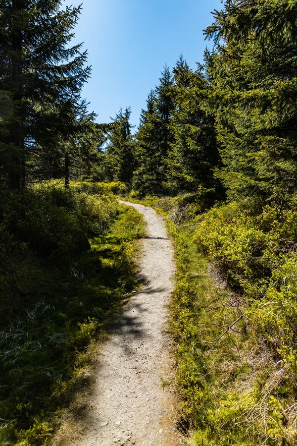 Long Mountain Trail in Jizera Mountains Stock Image - Image of outdoor ...