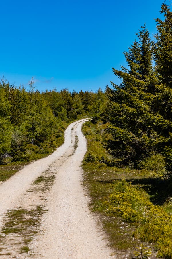 Long Mountain Trail with Bushes and Trees Around in Giant Mountains ...