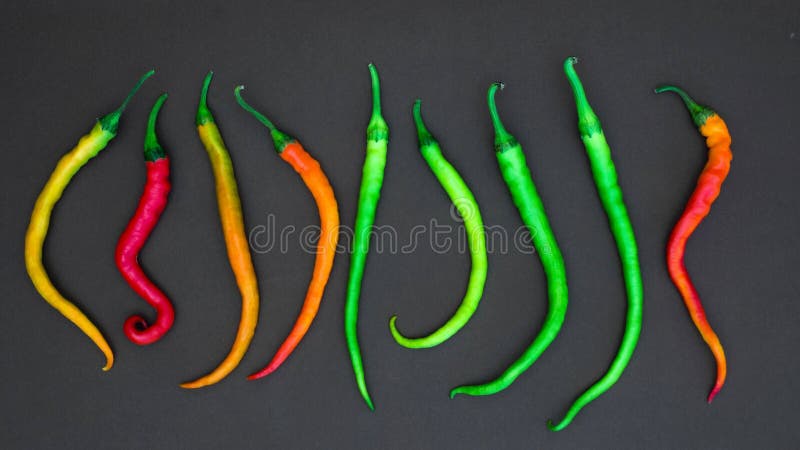 Long Multicolor Chilli Pepper Stock Image - Image of ingredient ...