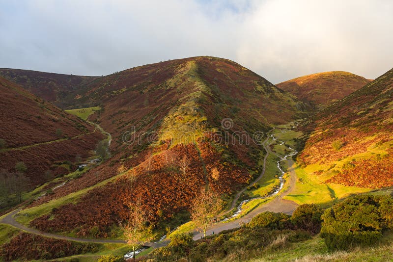 Long Mynd stock photo. Image of fall, shropshire, sunny - 17672200