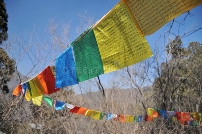 Long narrow flag in Tibet stock photo. Image of beauty - 6184848