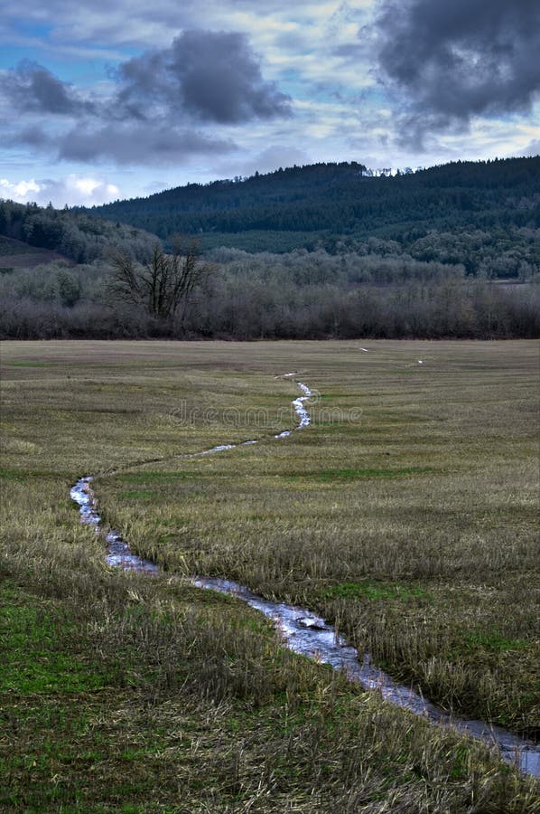 Narrow Stream Picture. Image: 7995458