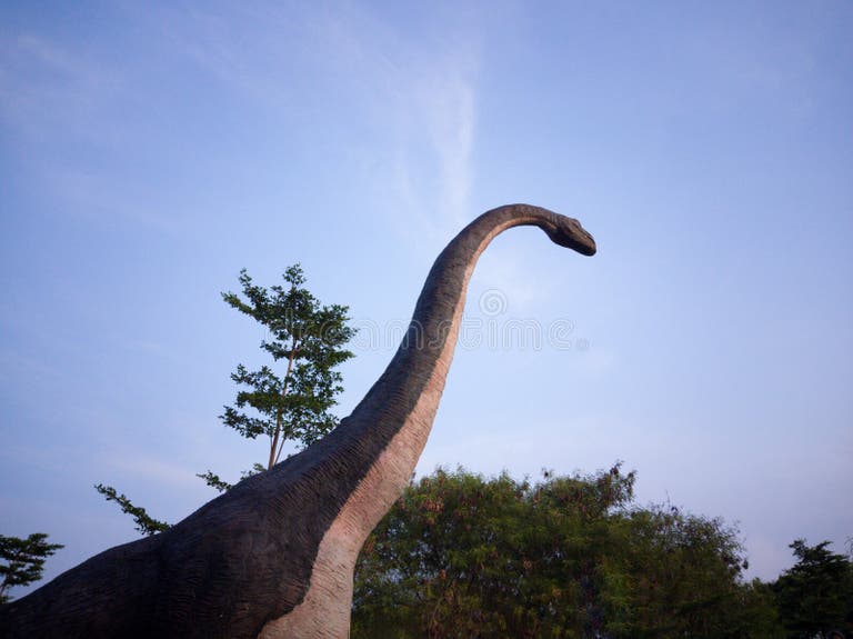 Long Neck Guy editorial stock image. Image of long, west - 249039829