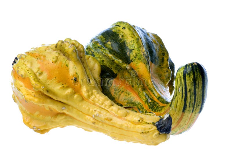 Long Neck Ornamental Gourds Stock Photos - Free & Royalty-Free Stock ...