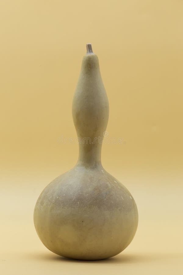 188 Neck Gourd Stock Photos - Free & Royalty-Free Stock Photos from ...