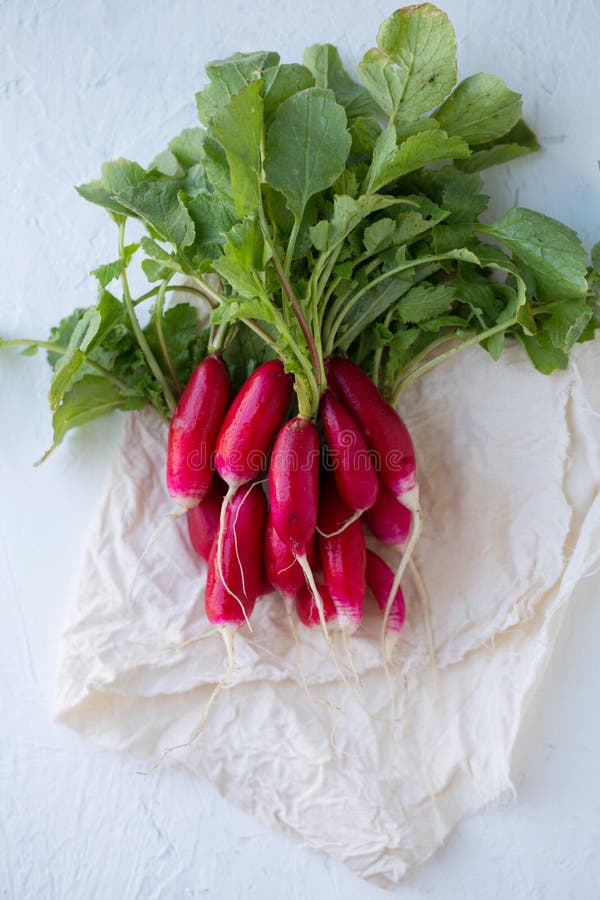 Long Big Organic Green Onions Stock Photo - Image of odor, vegetable ...