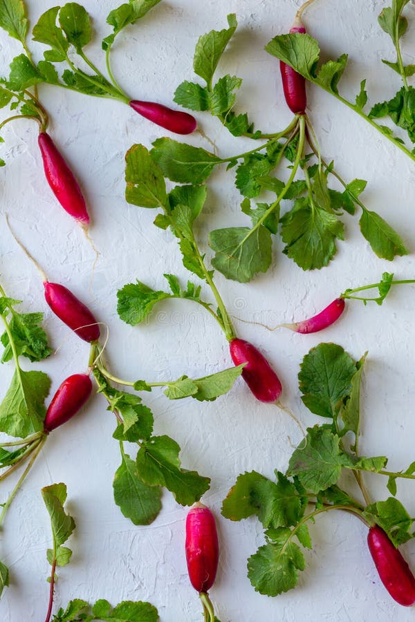 Long Organic Radishes, Top View Stock Photo - Image of leaf, radish ...