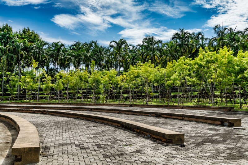 Long Park Bench and Palm Trees in the Park Stock Image - Image of ...