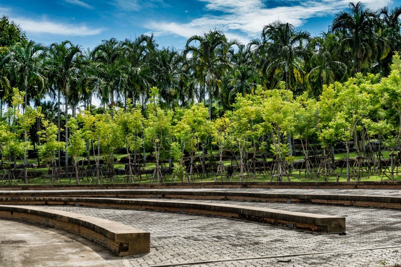 Long Park Bench and Palm Trees in the Park Stock Photo - Image of ...