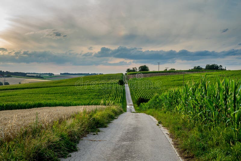 Long Path on Bavarian Field with Cloudy Sky Stock Photo - Image of ...