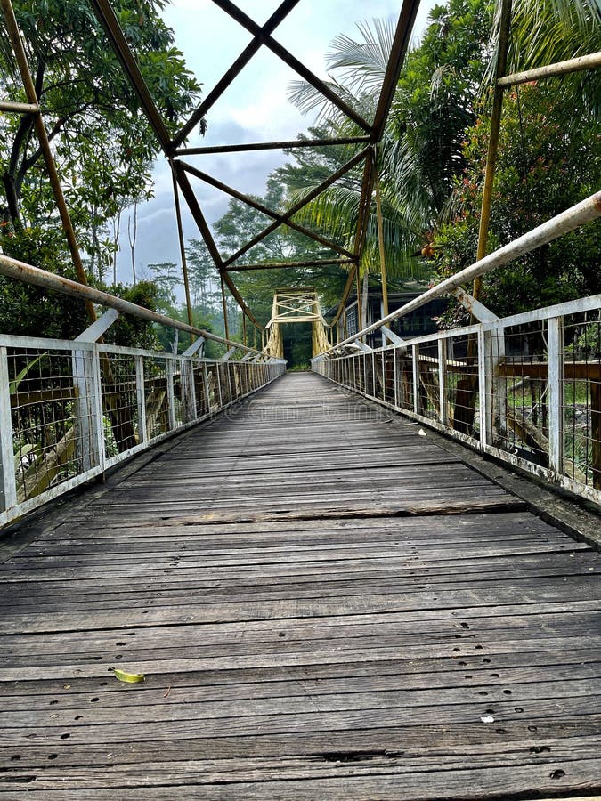 Long Path Bridge at Park with a Nature Views in a Nice Weather Stock ...