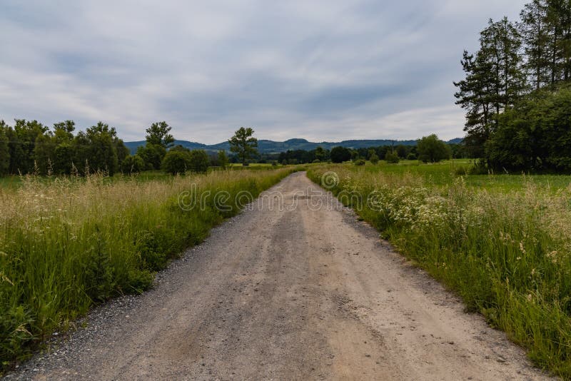 Long Path with Bushes and Fields Around in Mountains Stock Image ...