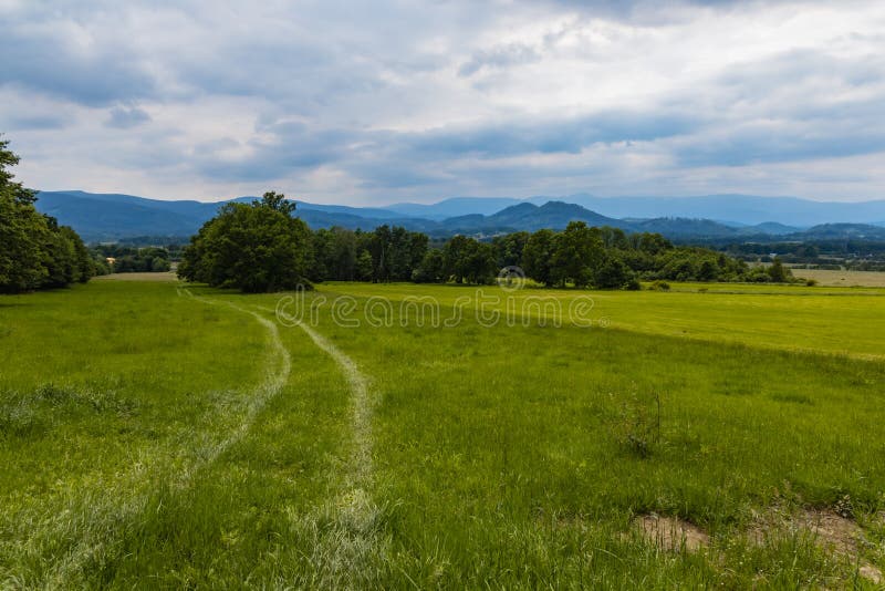 Long Path with Bushes and Fields Around in Mountains Stock Photo ...