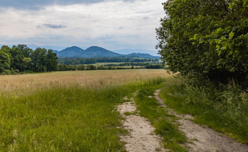 Long Path with Bushes and Fields Around in Mountains Stock Image ...