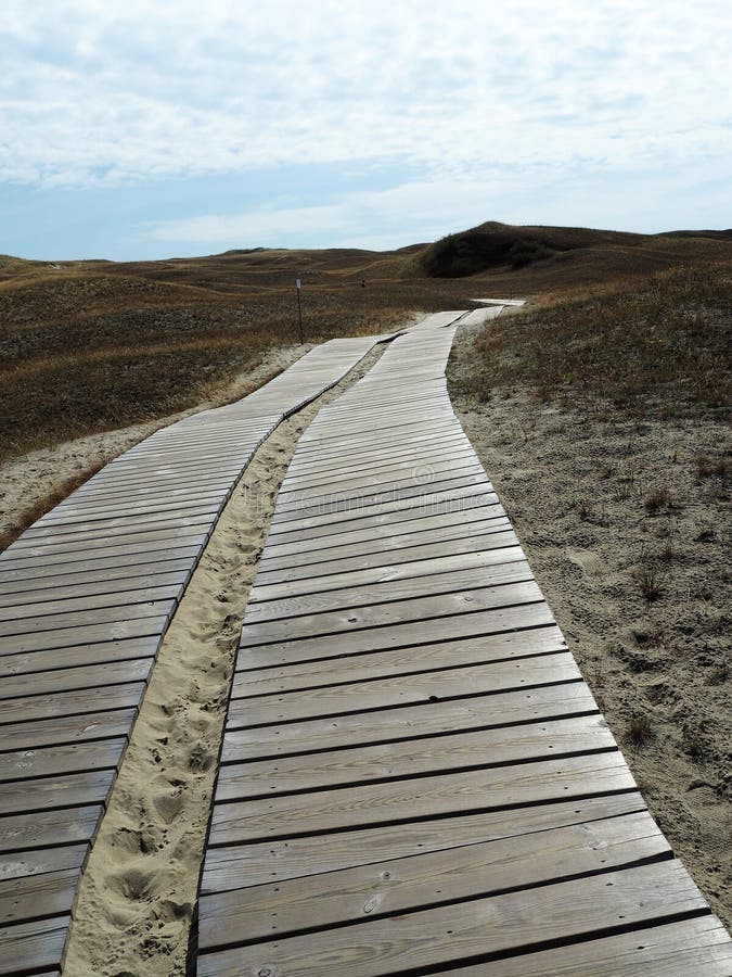Long Path in the Winter Forest Stock Image - Image of outdoor, path ...