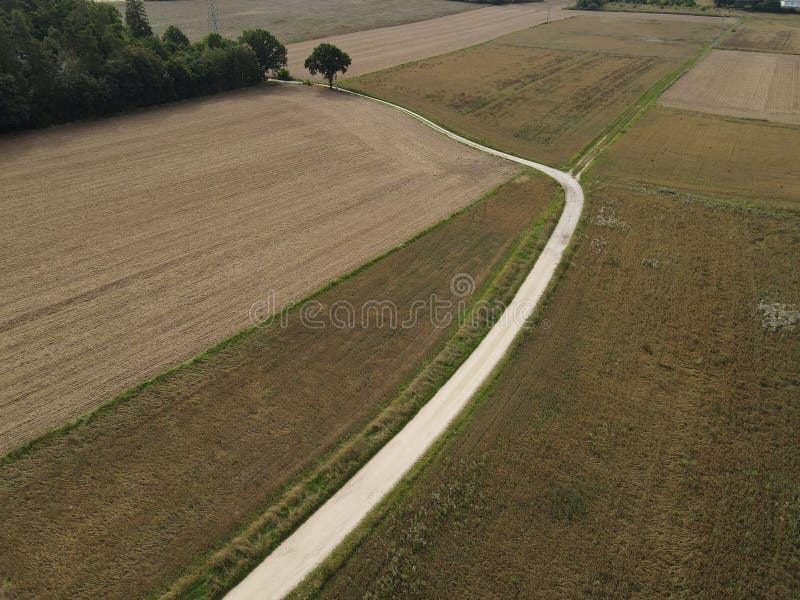 Long Path between Fields in the Landscape Stock Image - Image of copy ...