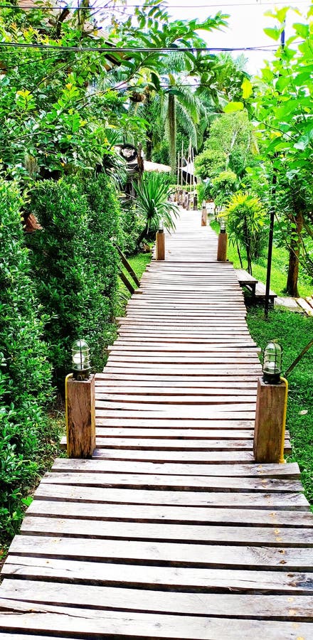 Long path in the garden stock photo. Image of sunlight - 235855068