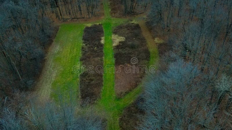 High Angle View of Path and Tree Tops Stock Image - Image of default ...