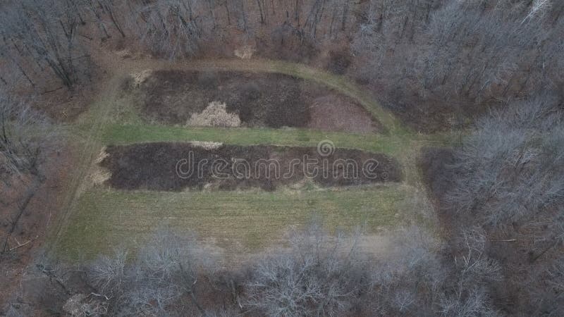 High Angle View of Path and Tree Tops Stock Photo - Image of footpaths ...