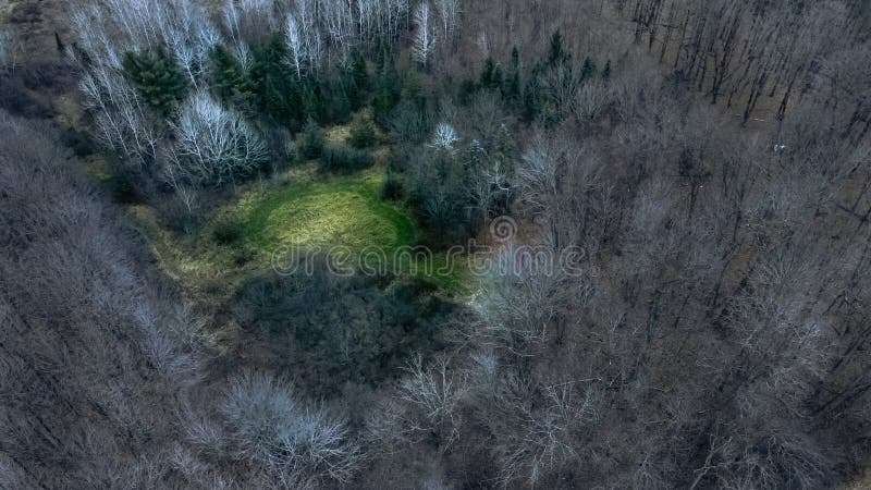 High Angle View of Path and Tree Tops Stock Photo - Image of ...