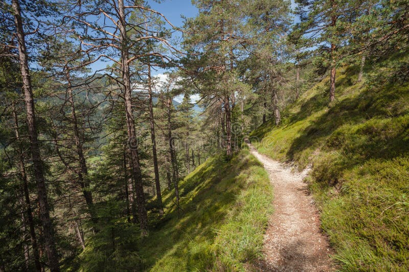 Long a Path Inside a Peaceful Forest , No People Around Stock Photo ...