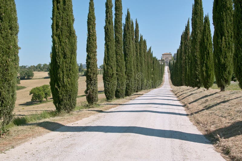 Long Path Lined with Cypresses Stock Image - Image of entrance, country ...