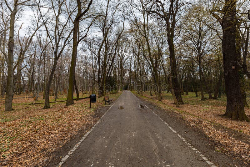 Long Path in Park with Benches on Sides and Full of Trees Stock Image ...