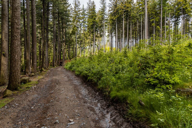 Long Path Leading from Sea into Land Stock Photo - Image of rocks ...