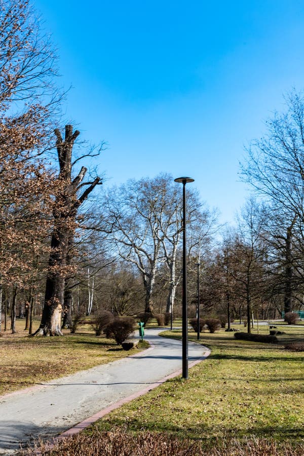 Long Path in Small Park with Trees without Leafs Stock Photo - Image of ...