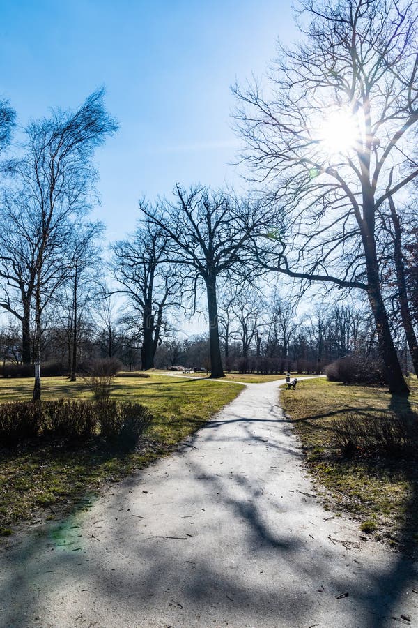 Long Path in Small Park with Trees Stock Image - Image of sidewalk ...