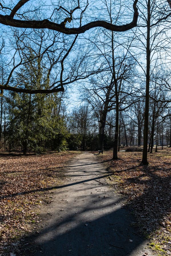 Long Path in Small Park with Trees without Leafs Stock Image - Image of ...