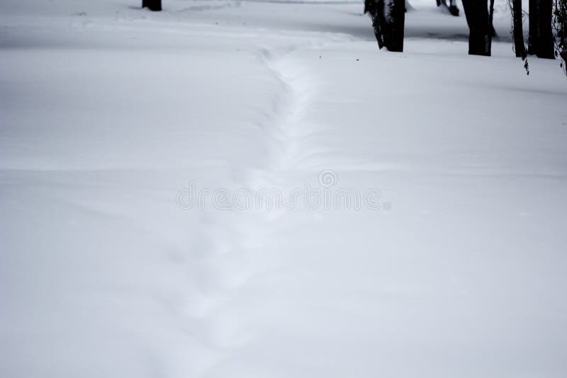 Long Path in the Snowy Park in Winter Stock Photo - Image of long, deep ...