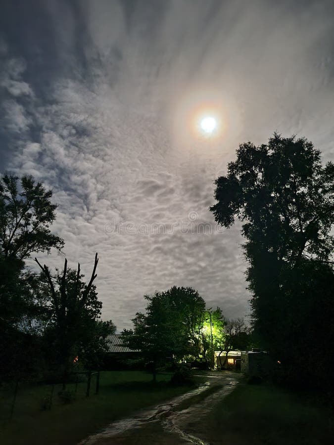 Long Path At Liberty Park Plantaion Stock Photo - Image of shade, fresh ...