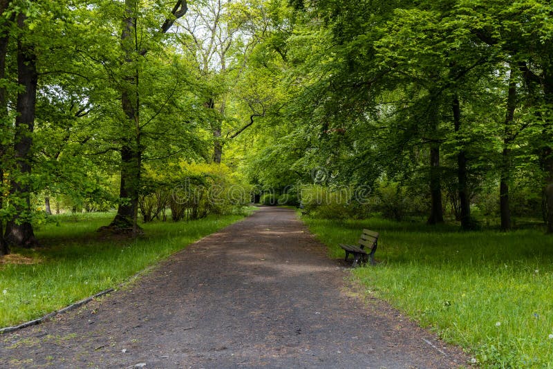 Long Path with Trees and Bushes and Benches Stock Photo - Image of ...