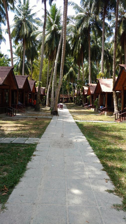 Long path stock image. Image of green, path, long, house - 79930349