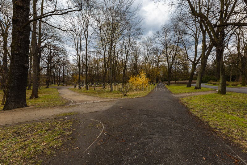 Long Paths in Park with Benches on Sides and Full of Trees Stock Photo ...