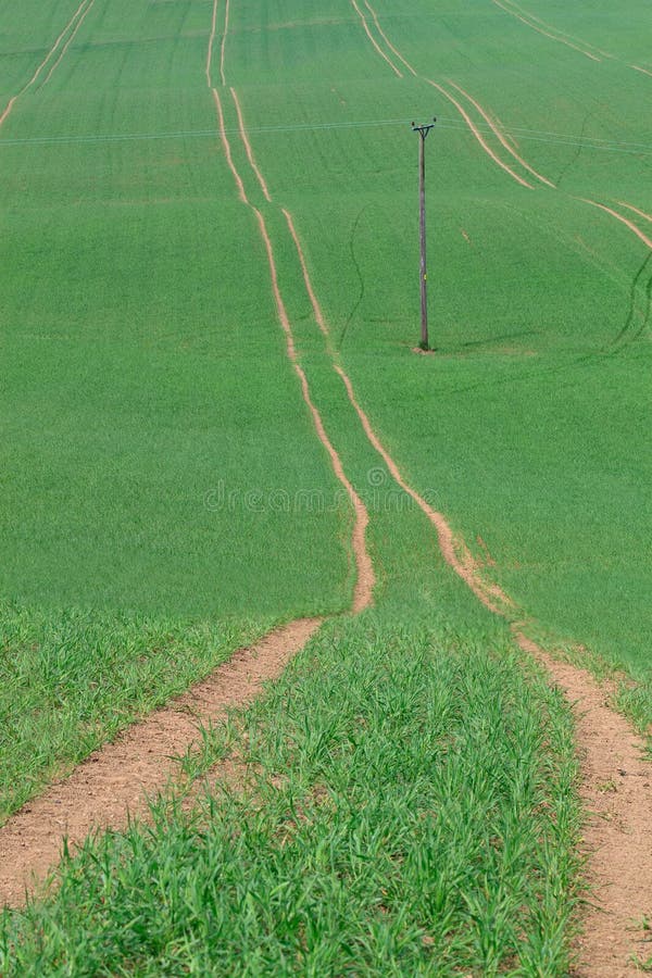 Long Paths stock image. Image of landscape, paths, road - 31659677