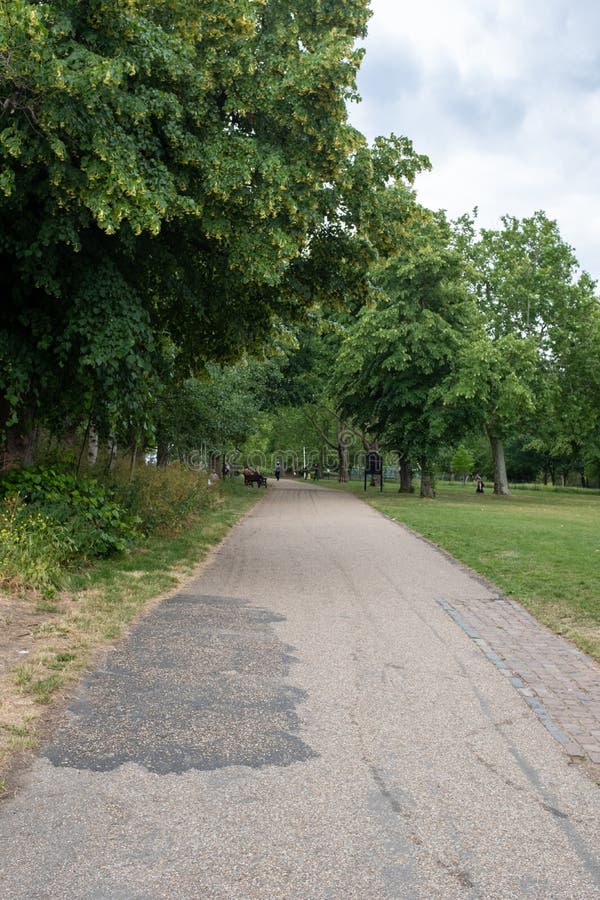 Long Pathway, Stunning Long Trees. Finsbury Park Stock Photo - Image of ...