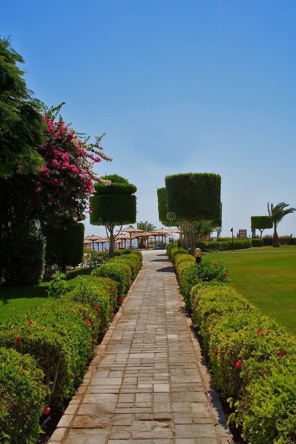 Long Pathway To The Beach (vertical) Stock Image - Image of landscaping ...