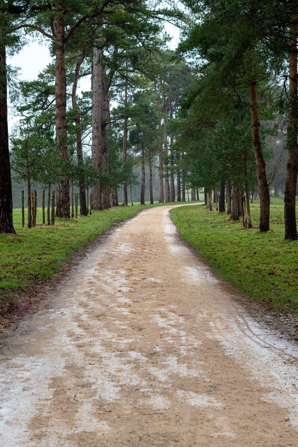 406 Symmetrical Pathway Stock Photos - Free & Royalty-Free Stock Photos ...