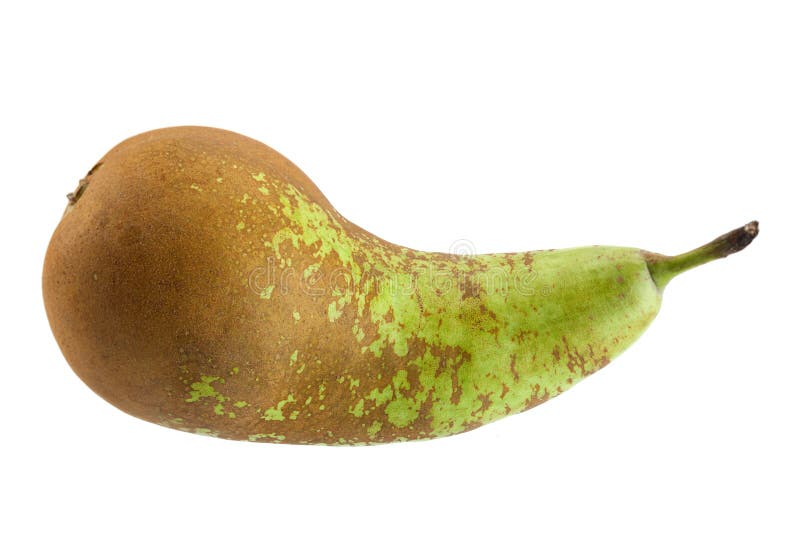 Pear fruit with leaf stock photo. Image of leaf, fruit - 26167010