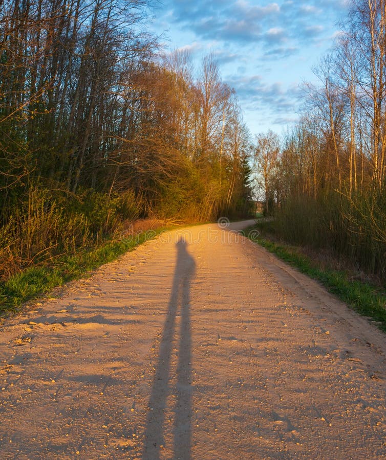 The Shadow on the Road, Asphalt Texture, Stones on the Ground. Stock ...