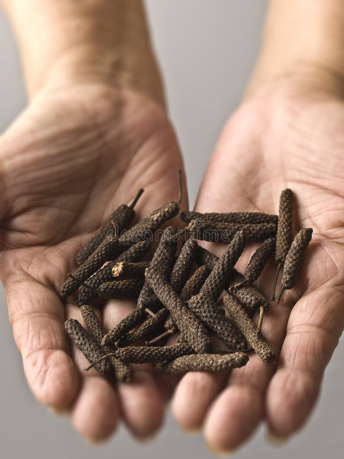 Long pepper stock image. Image of isolated, seasoning - 16623739