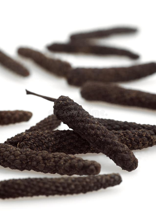 Long Pepper, Piper Longum, Berries Against White Background Stock Photo ...