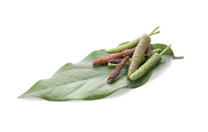 Jaborandi Tree Stock Photos - Free & Royalty-Free Stock Photos from ...