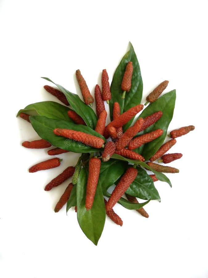 Long pepper stock image. Image of pepper, whitebackground - 140589467